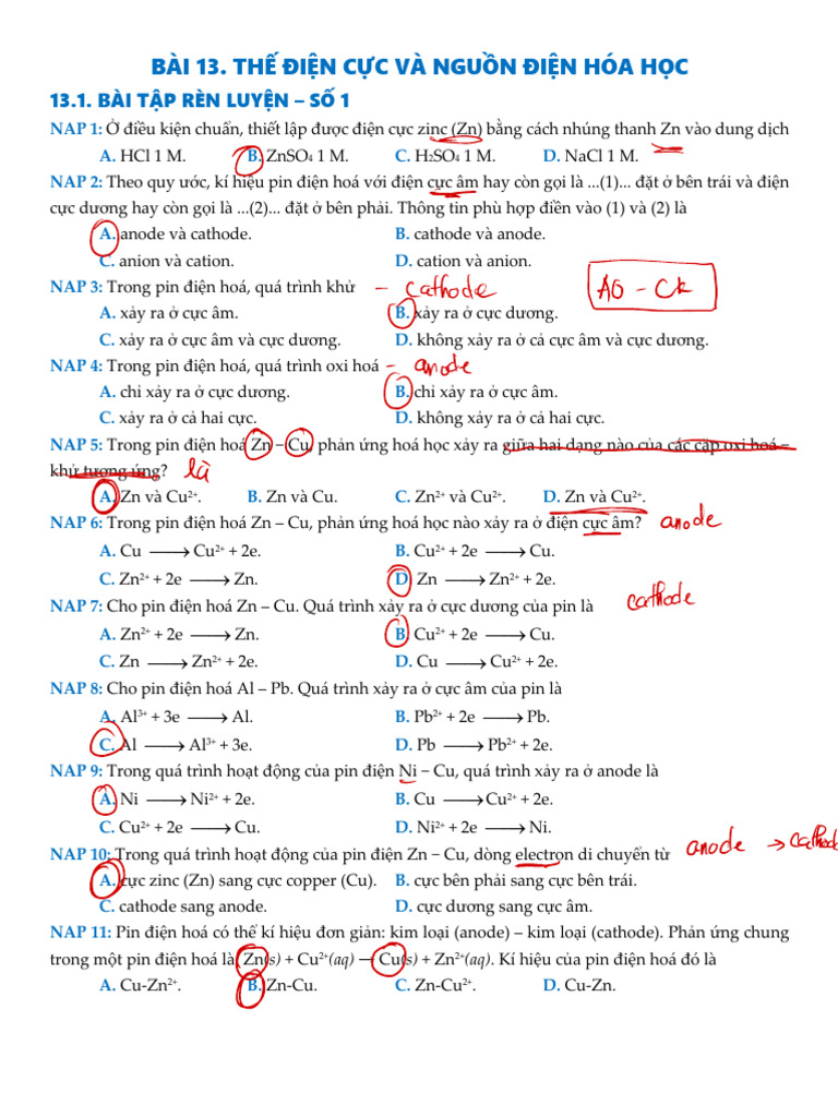 2k8 - Live I (1) - BTRL 13.1 | PDF