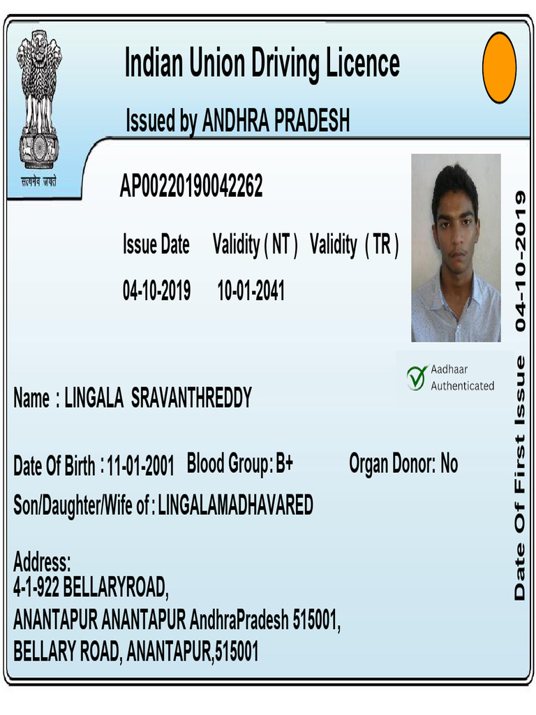Driving License | PDF