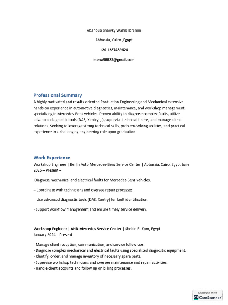 Mercedes-Benz Workshop Engineer Resume | PDF | Mercedes Benz