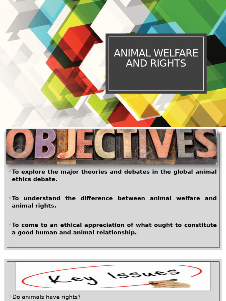 Understanding Animal Welfare vs. Rights | PDF | Animal Rights ...