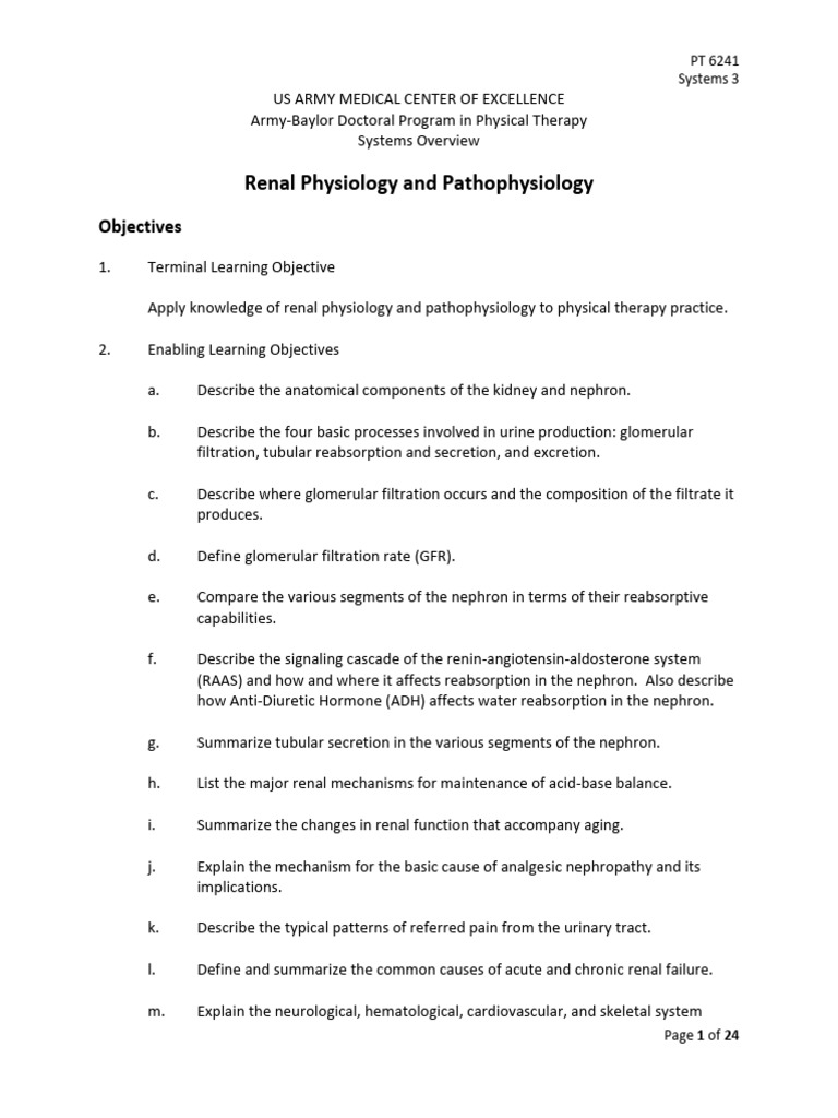 3 Handout Renal System 2025 | PDF | Angiotensin | Kidney