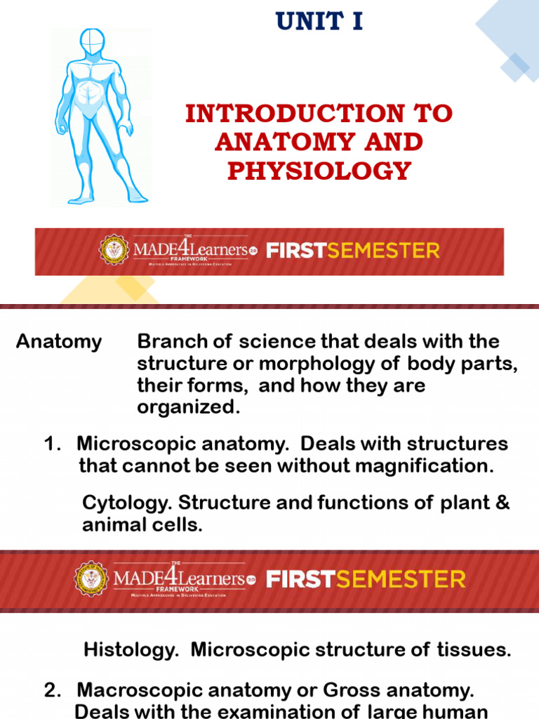 Unit 1 Introduction To Anatomy and Physiology | PDF | Anatomical Terms ...