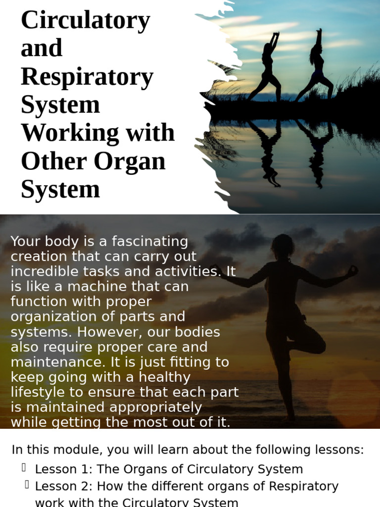 Respiratory System Overview | PDF | Heart Valve | Heart