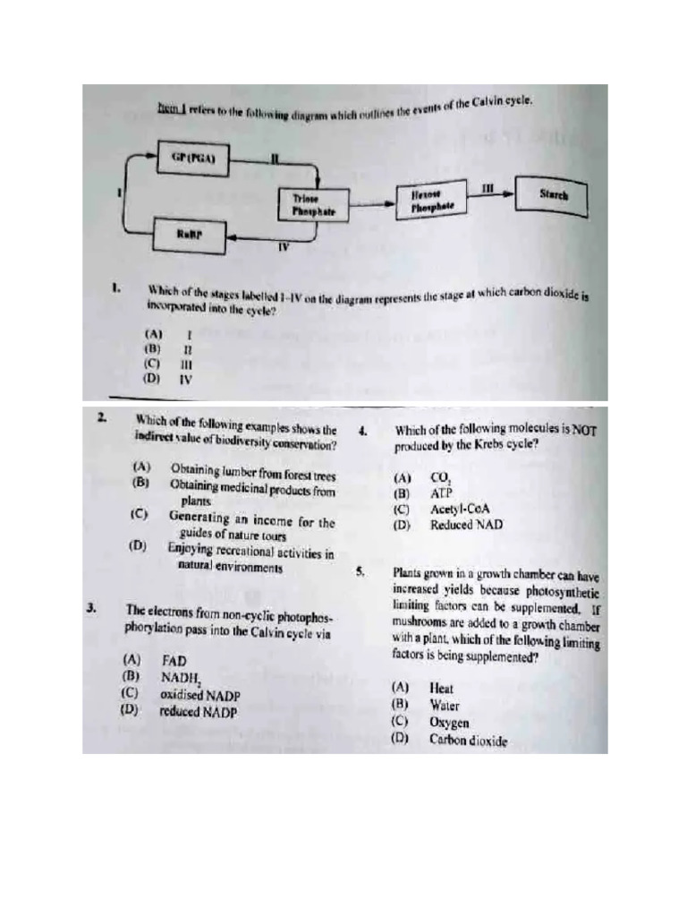 Cape Bio 2023 p1 Csec Cape | PDF