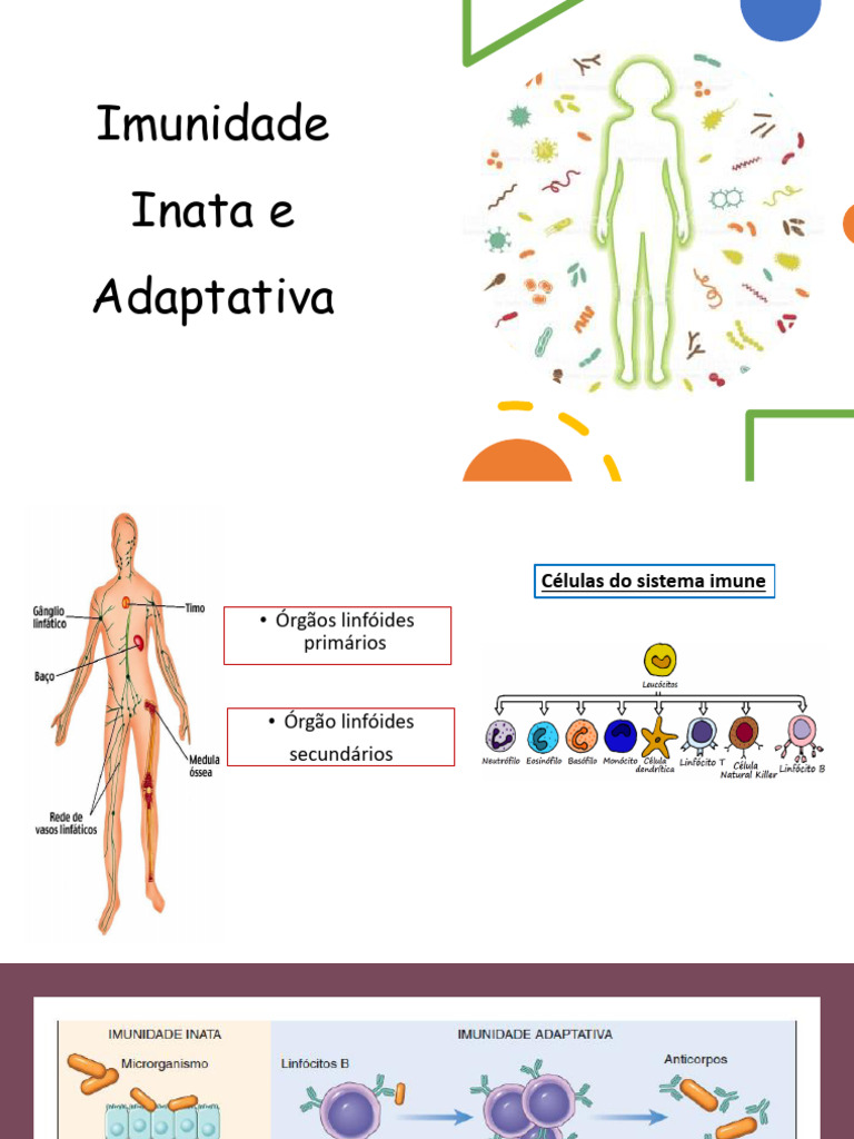 2025 - Imunidade Inata e Adaptativa | PDF | Citocina | Sistema imunológico
