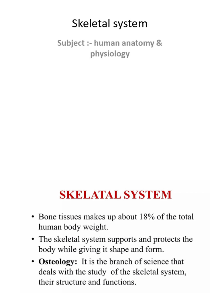 Skeletal System Pdf