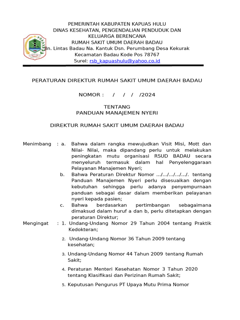 Panduan Manajemen Nyeri RSUD Badau | PDF