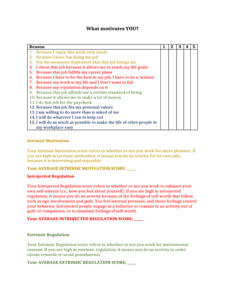 Survey On What Motivates You | PDF | Motivation | Motivational