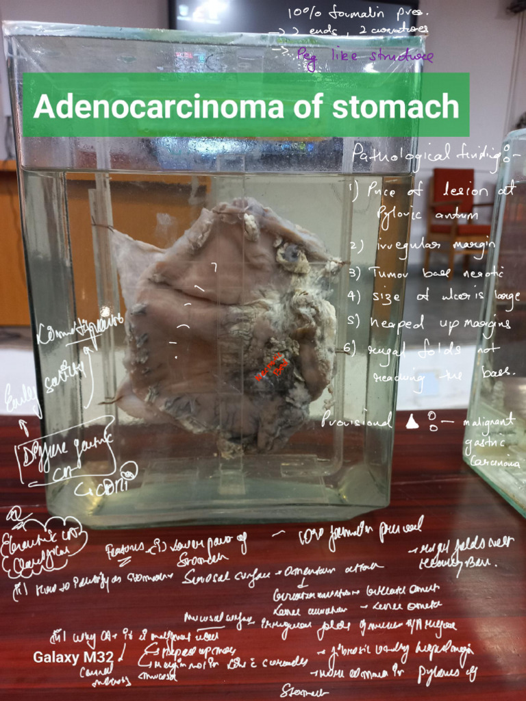 Patho Specimen New 2 | PDF