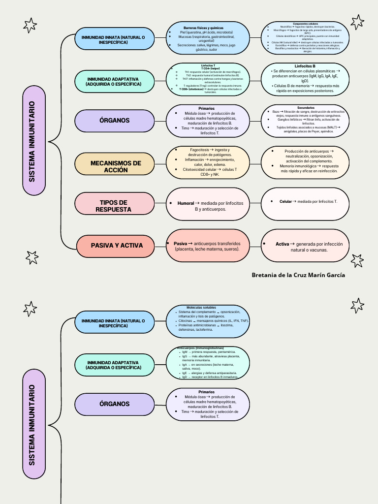 Colorful Creative Color Blocks Concept Map Graph.pdf | PDF | Sistema ...