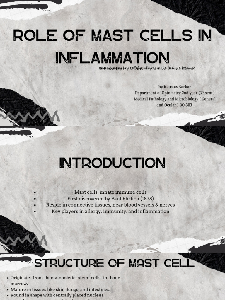 Mast Cells and Inflammation Explained | PDF | Inflammation | Immune System