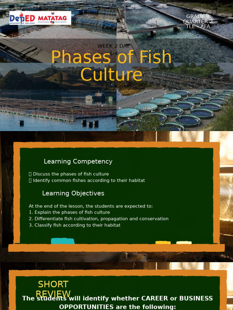 Phases of Fish Culture for Grade 8 | PDF | Reproduction | Fish
