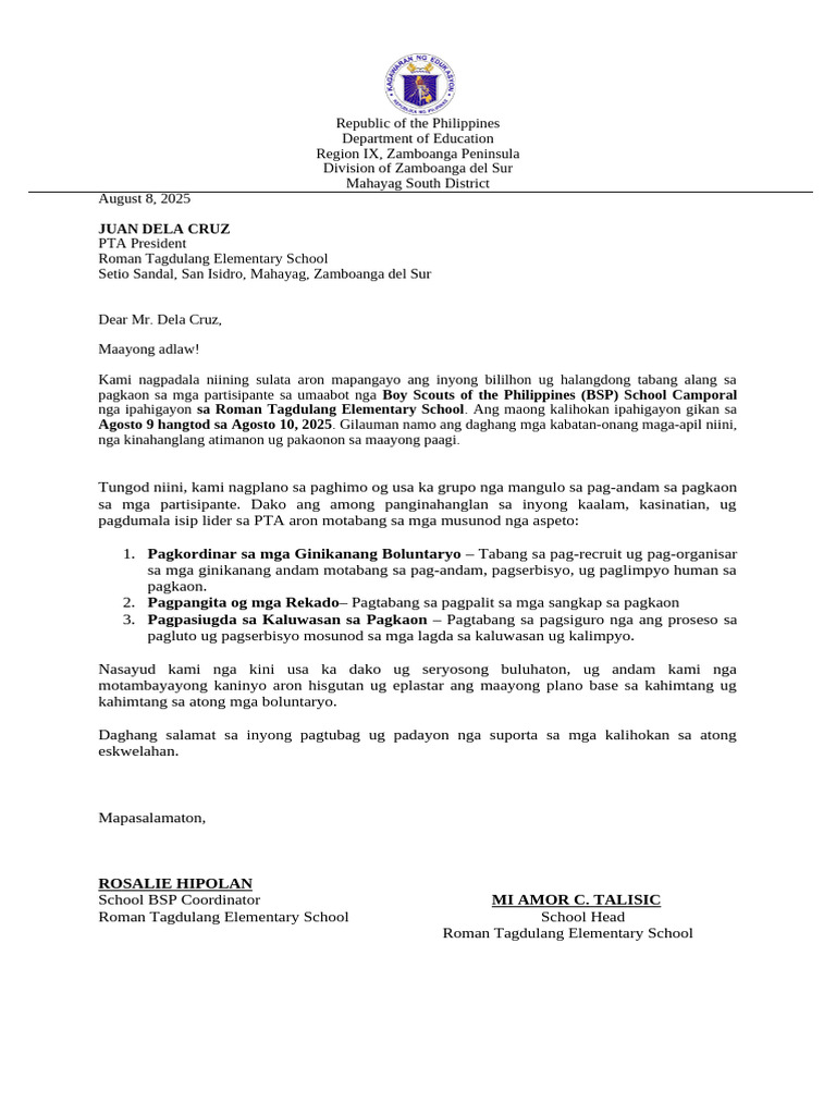 Letter BSP | PDF