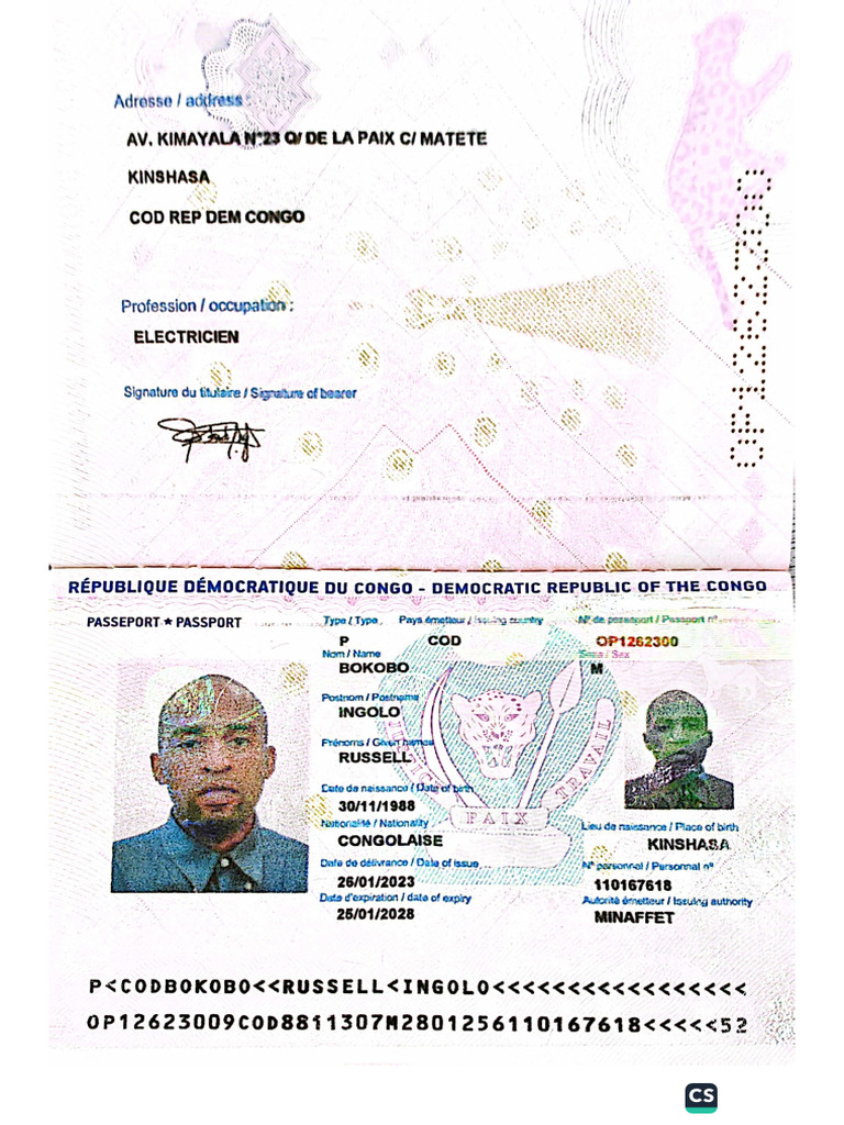 Russell Passport | PDF