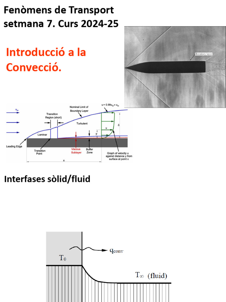 Setmana 7. Convecció, Règims de Flux, Viscositat | PDF