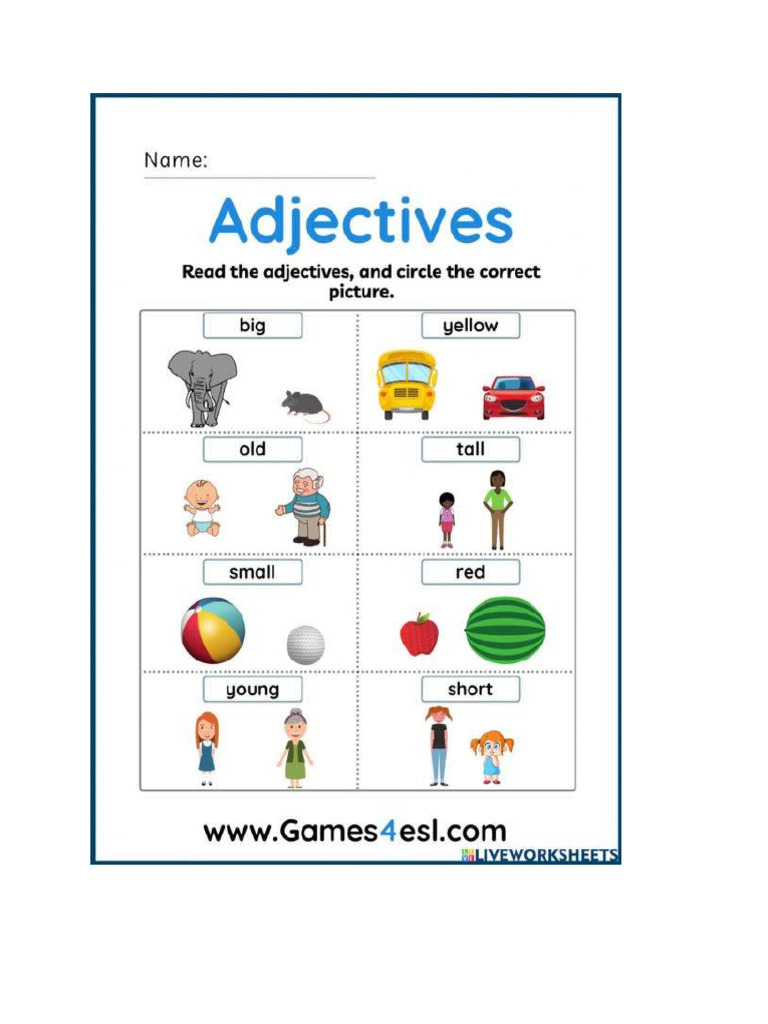 Adjectives Test Pdf