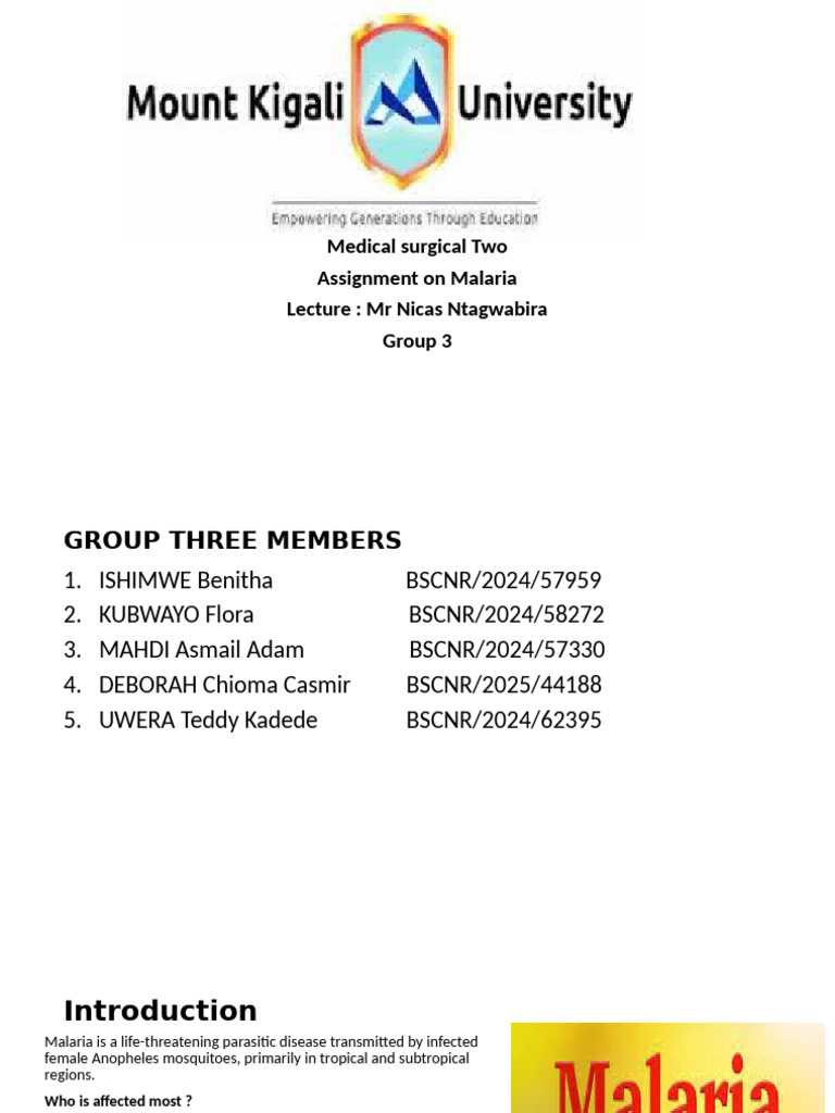 Presentation Group 3 | PDF | Malaria | Plasmodium Falciparum