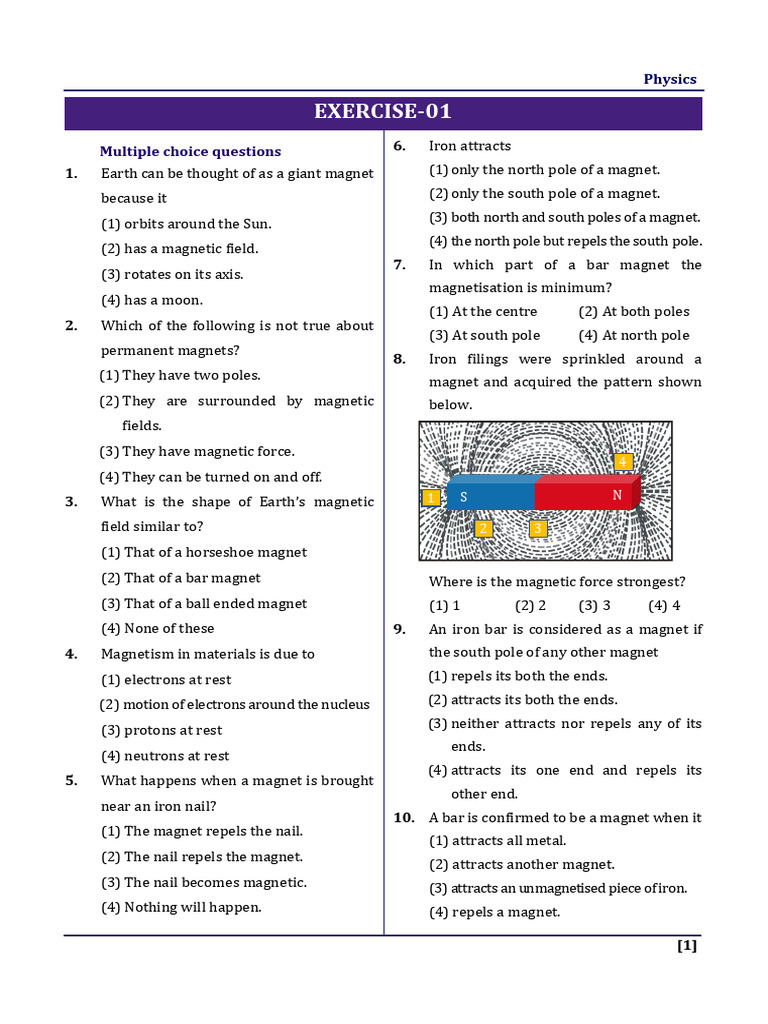 Exercise - Solutions - Fun With Magnets | PDF | Magnet | Magnetism