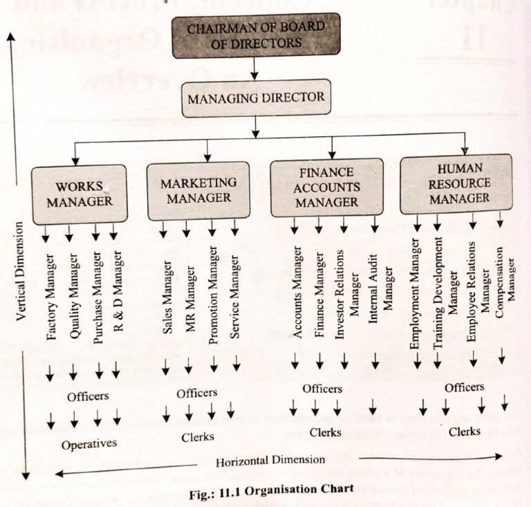 Organization Chart | PDF
