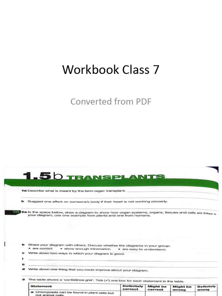 Workbook Class7 | PDF