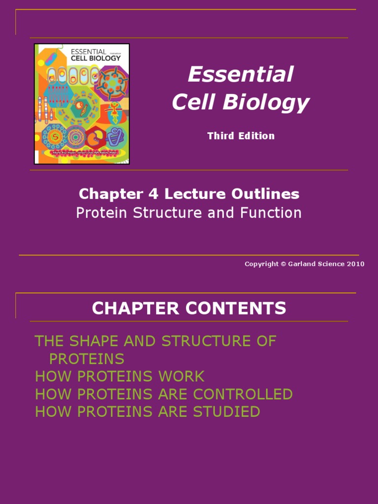 Essential Cell Biology: Chapter 4 Lecture Outlines | PDF | Protein ...