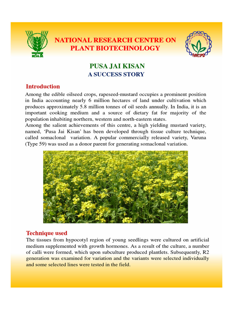 Pusa Jai Kisan: A High-Yield Mustard Variety | PDF | Seed | Agriculture