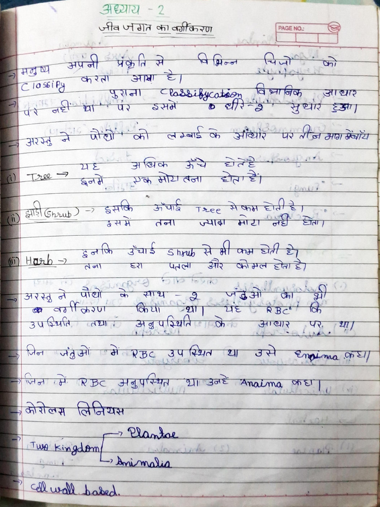 Biological Classification Class 11th Notes | PDF