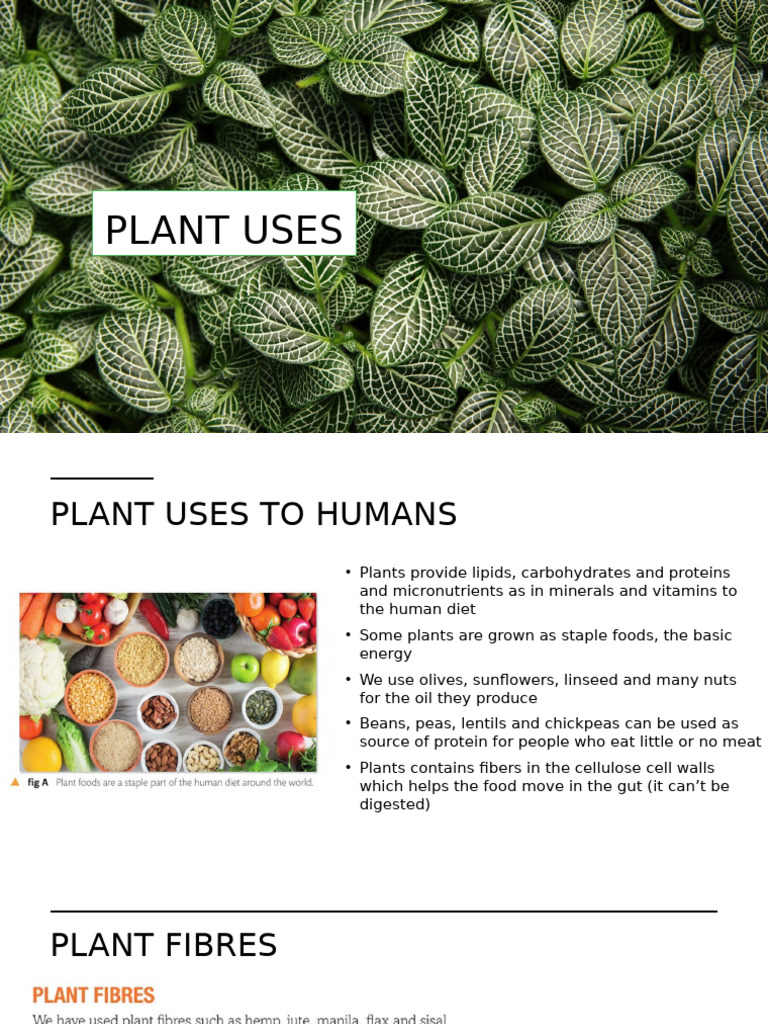 Plant Uses | PDF