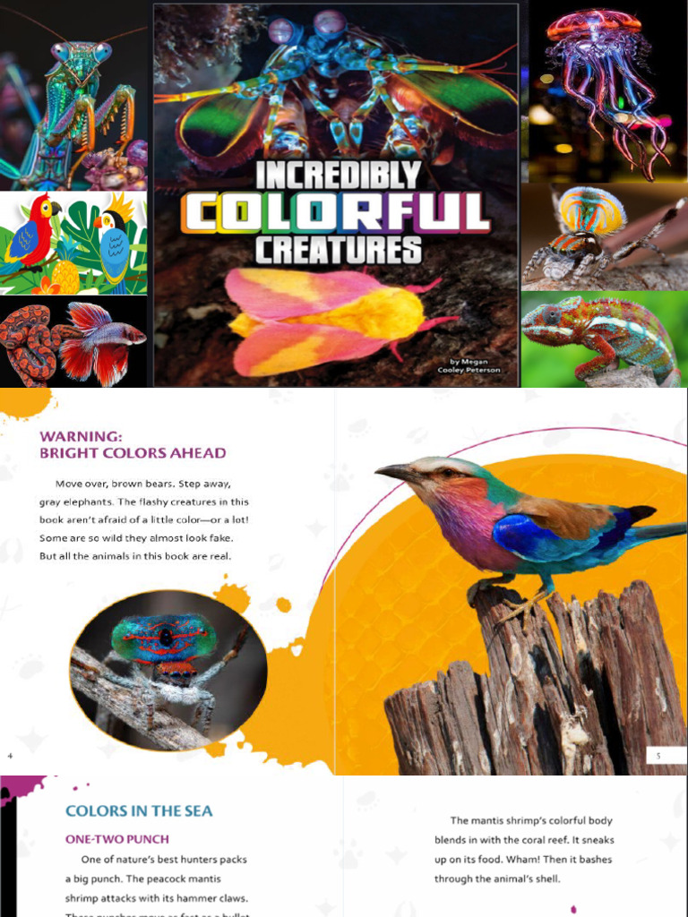 Incredibly Colorful Creature | PDF