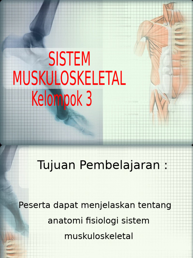 MUSKULOSKELETAL Siap | PDF