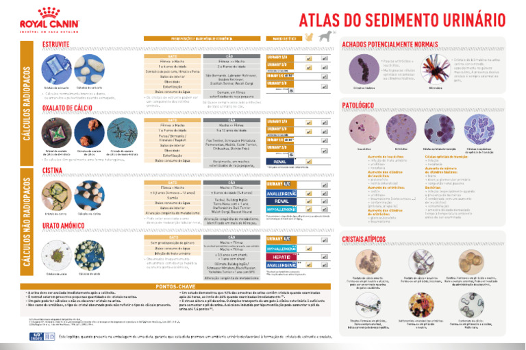 1.urinary Atlas Sedimento Urinario PT | PDF