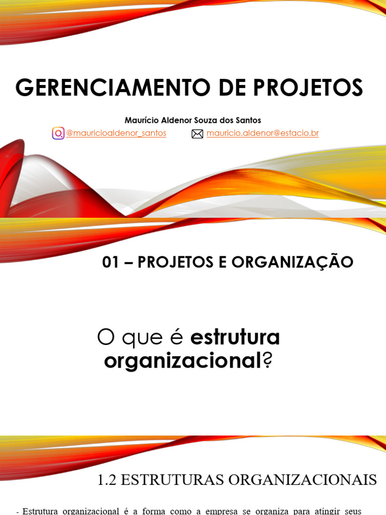 Aula 02 - Estruturas Organizacionais | PDF | Gestão de projetos