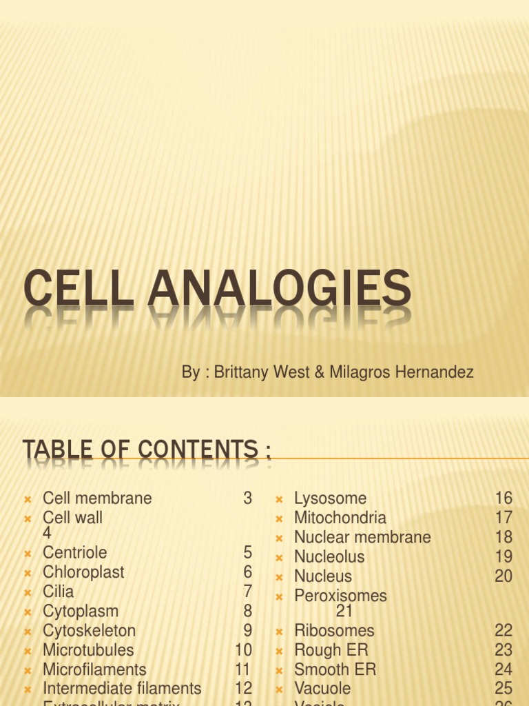 Cell Analogy - Biology Project | PDF | Cytoskeleton | Cell (Biology)