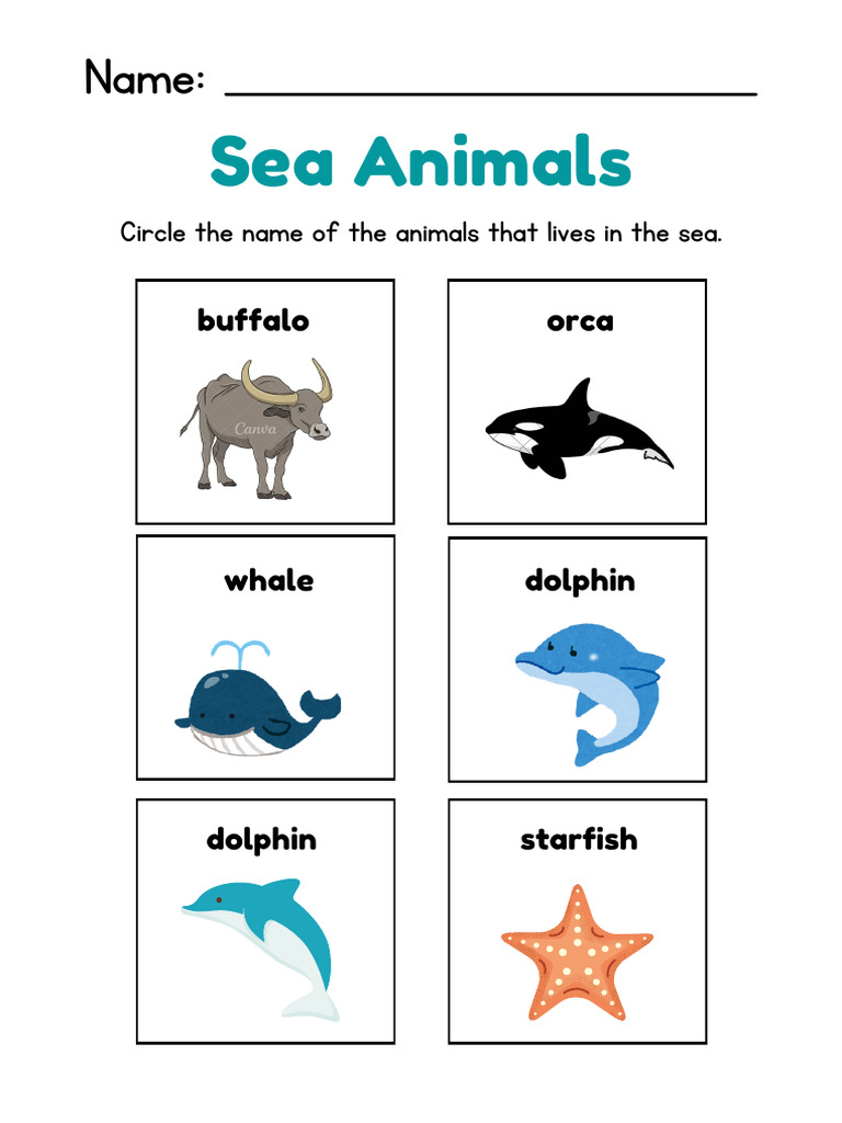 Sea Animals Identification Activity | PDF