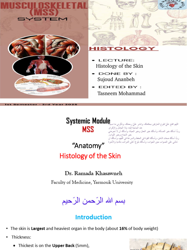 Histology of the Skin Overview | PDF | Epidermis | Skin