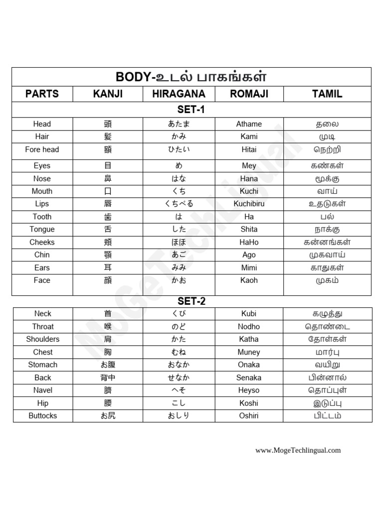 13 Body Parts | PDF