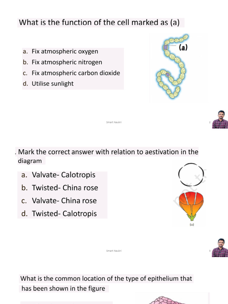 Important Bio Diagrams | PDF