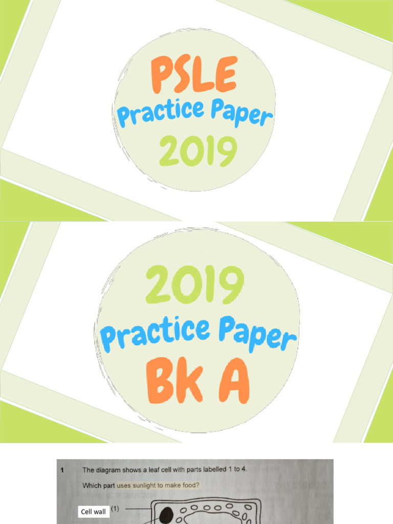 2019 Science PSLE Paper Answers | PDF | Force | Insects
