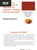 Test de Stroop Victoria : Guide d'utilisation | PDF | Attention | Vert