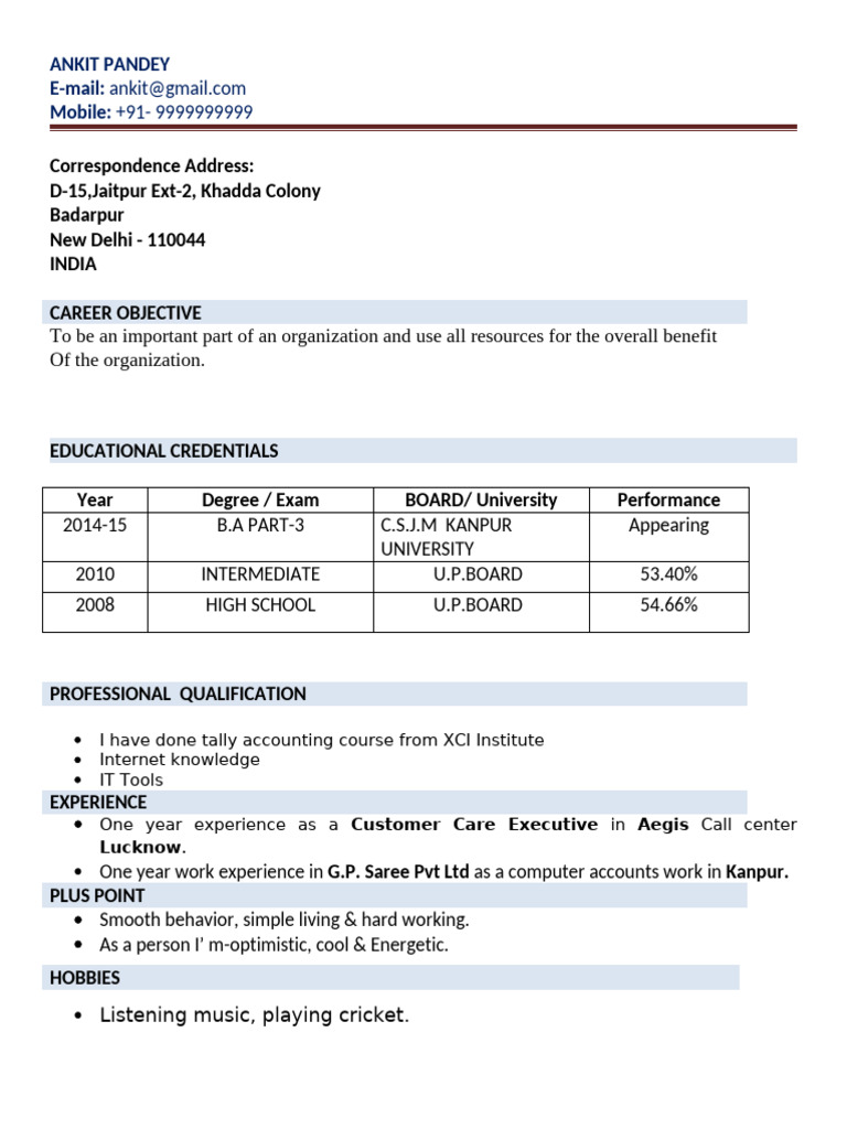 Computer Operator Resume CV Templates 8 | PDF