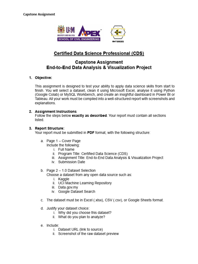 Capstone Assignment CDS Ver1.04-1 | PDF | Microsoft Excel | Data