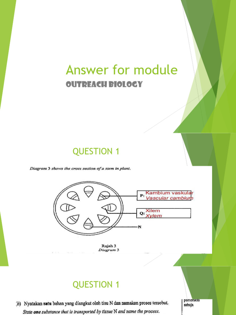 Biology Outreach Module Questions | PDF