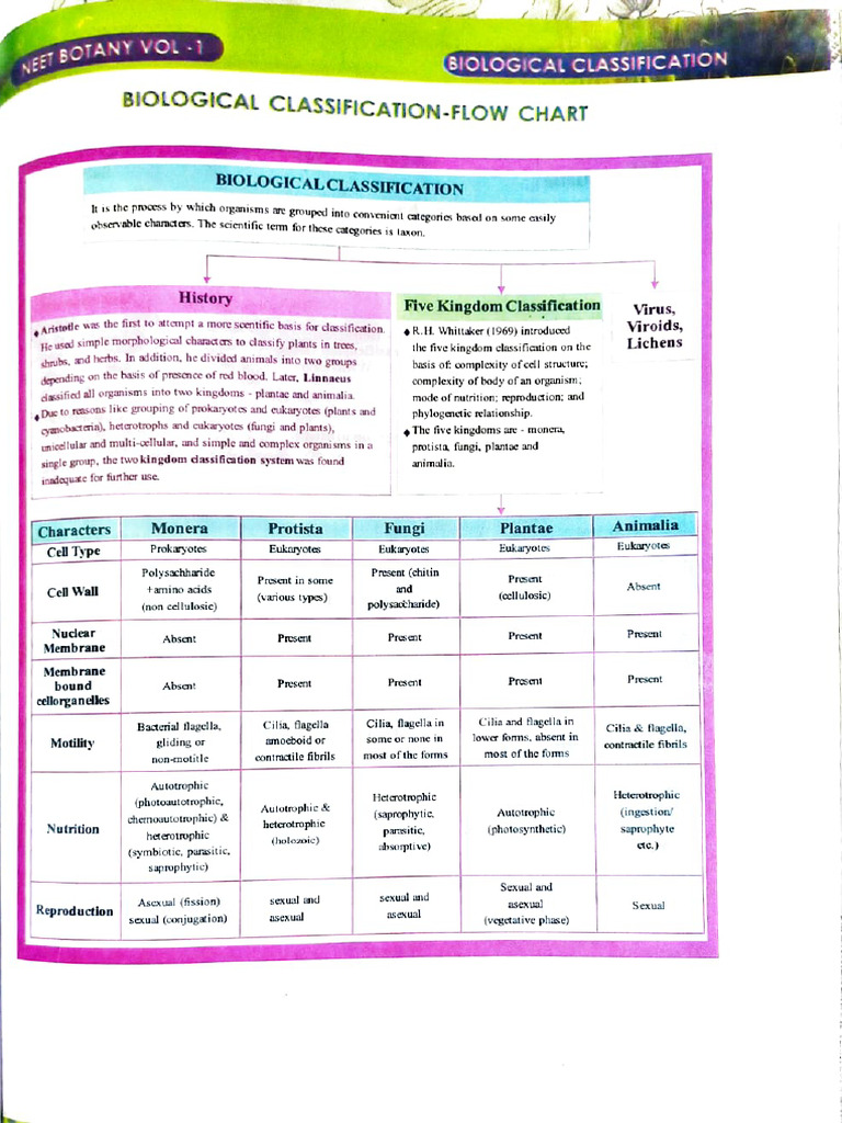 Biological Classification Mindmap | PDF | Eukaryotes | Microbiology