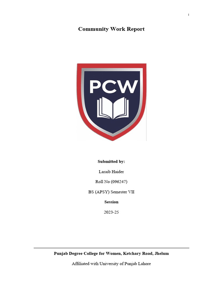 Community Work Report 1 | PDF