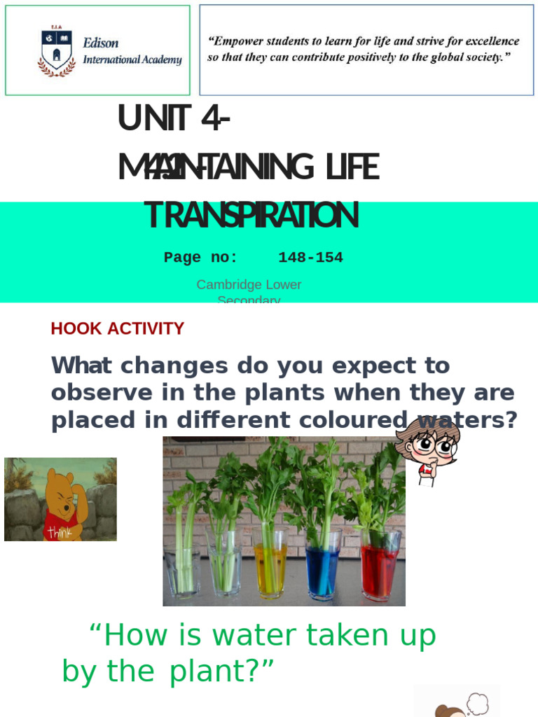 Understanding Plant Transpiration | PDF | Stoma | Leaf