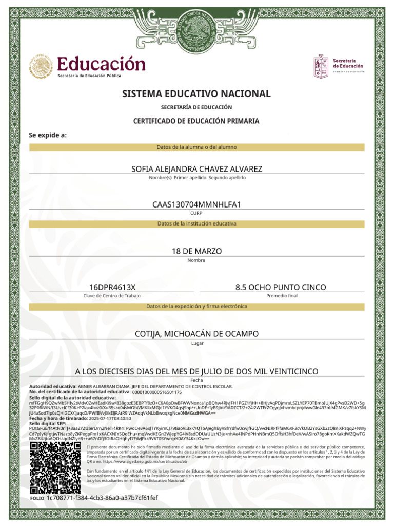 Boleta Con Calificaciones | PDF