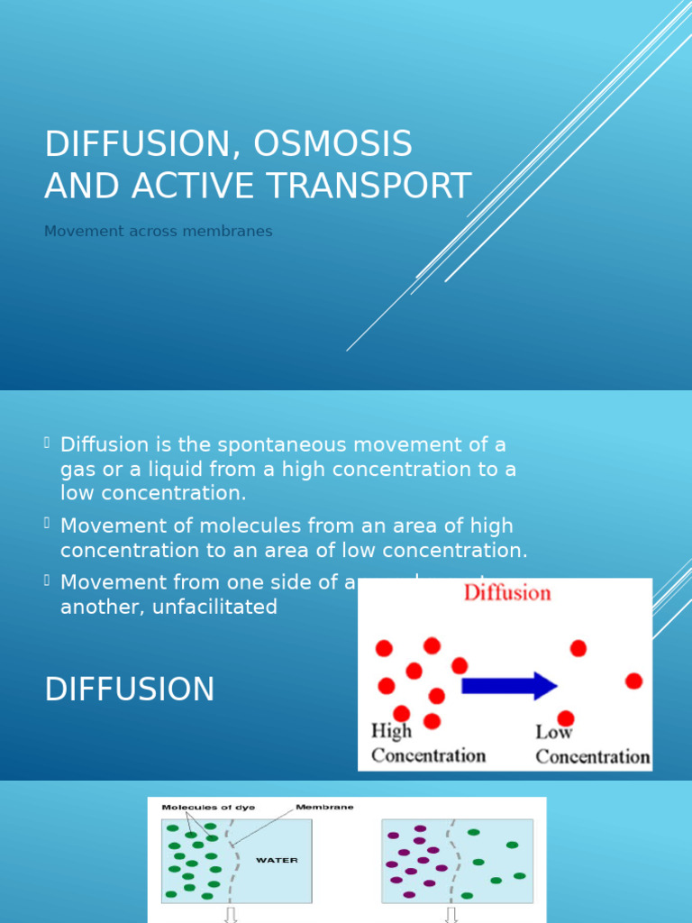 Diffusion, Osmosis and Active Transport | PDF