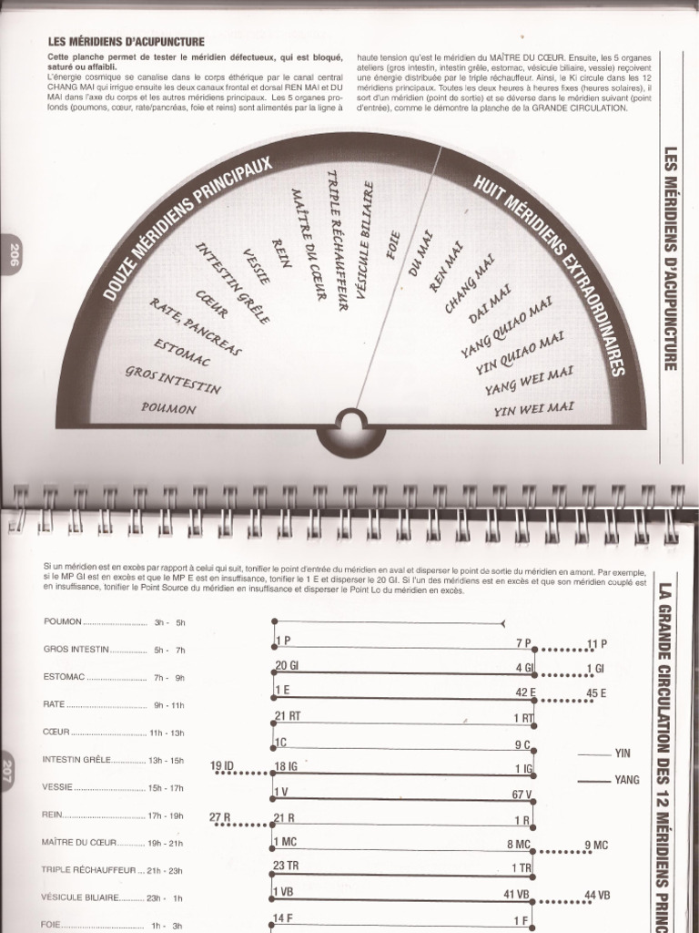 Planches Acupuncture | PDF