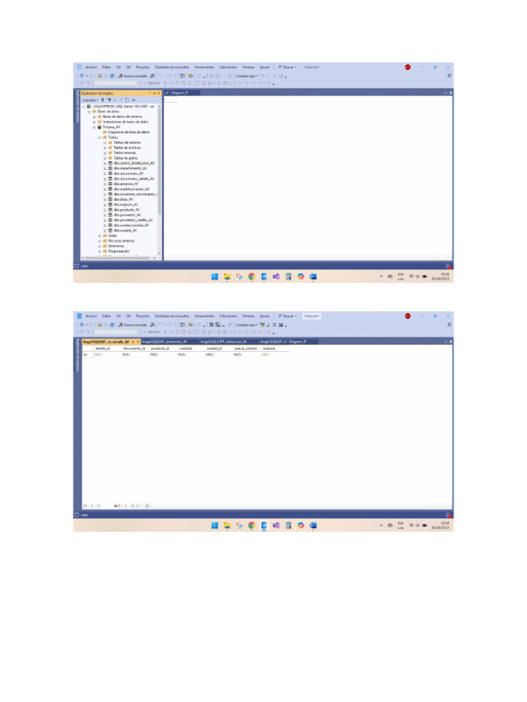 Tema 2 Segundo Parcial BD | PDF | Microsoft Sql Server | Data Management