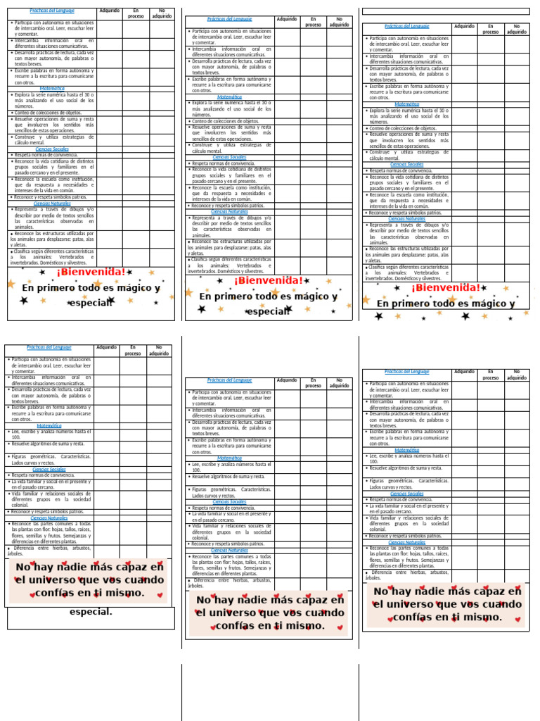 Grilla Primer Trimestre | PDF
